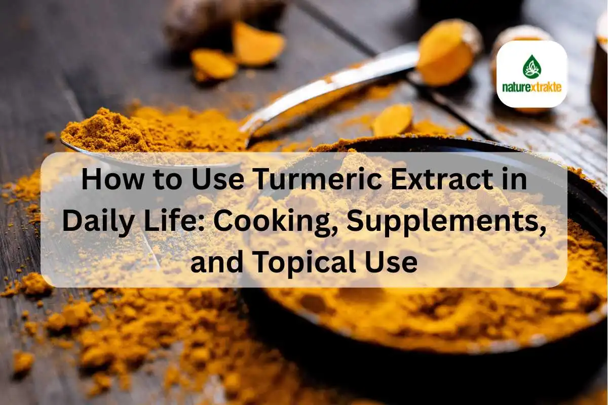 How to Use Turmeric Extract in Daily Life?
